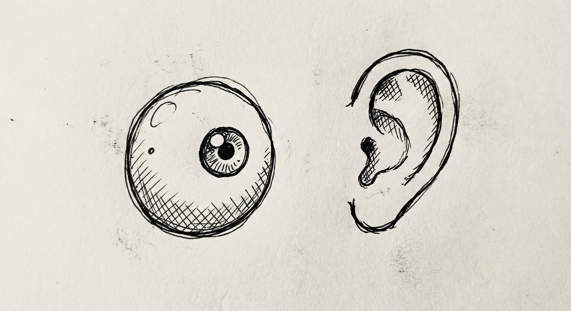 Who is allowed to speak out?